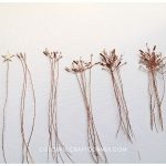 Easy & Chic DIY Wire Christmas Tree - Colorful Craft Corner